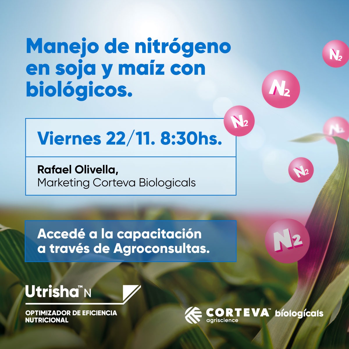 Evento Online: Manejo de nitrógeno en soja y maíz con biológicos ...