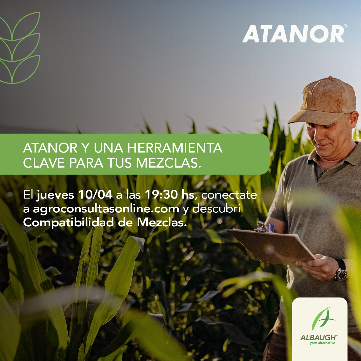 Evento Online: ATANOR y una herramienta clave para tus mezclas ...