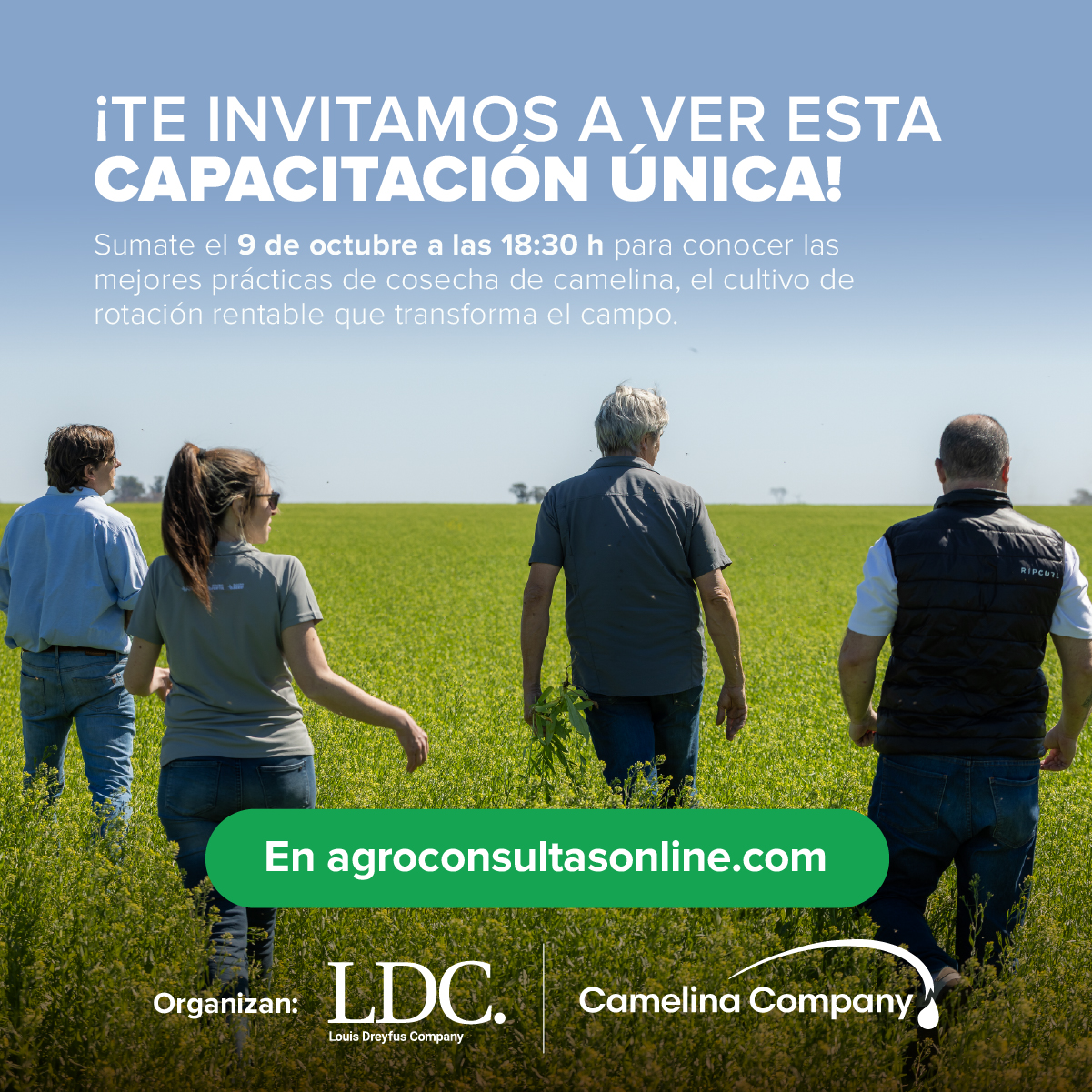 Evento Online: Capacitación sobre cosecha de camelina | Agroconsultas ...