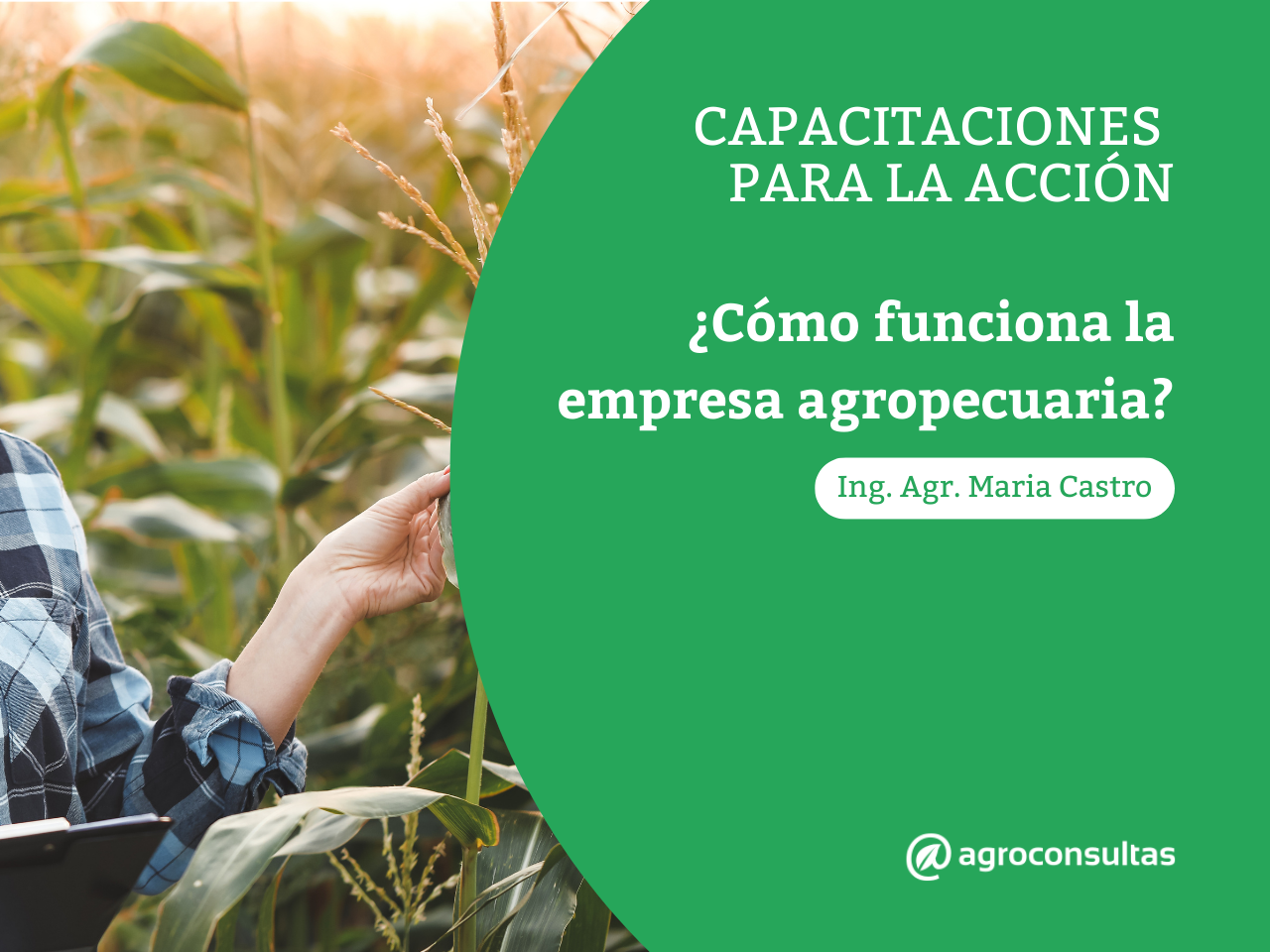 Evento Online: ¿Cómo funciona la empresa agropecuaria? | Agroconsultas ...